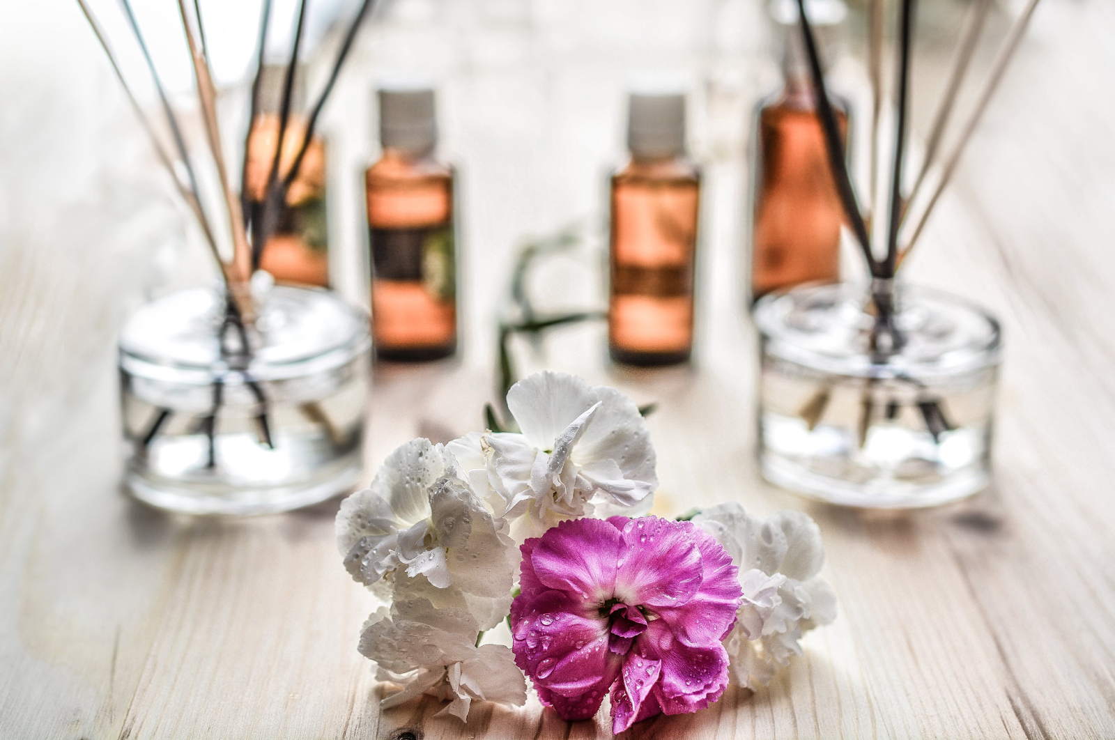 The Perfect Essential Oils for Each Room in Your Home - Lh Magazine