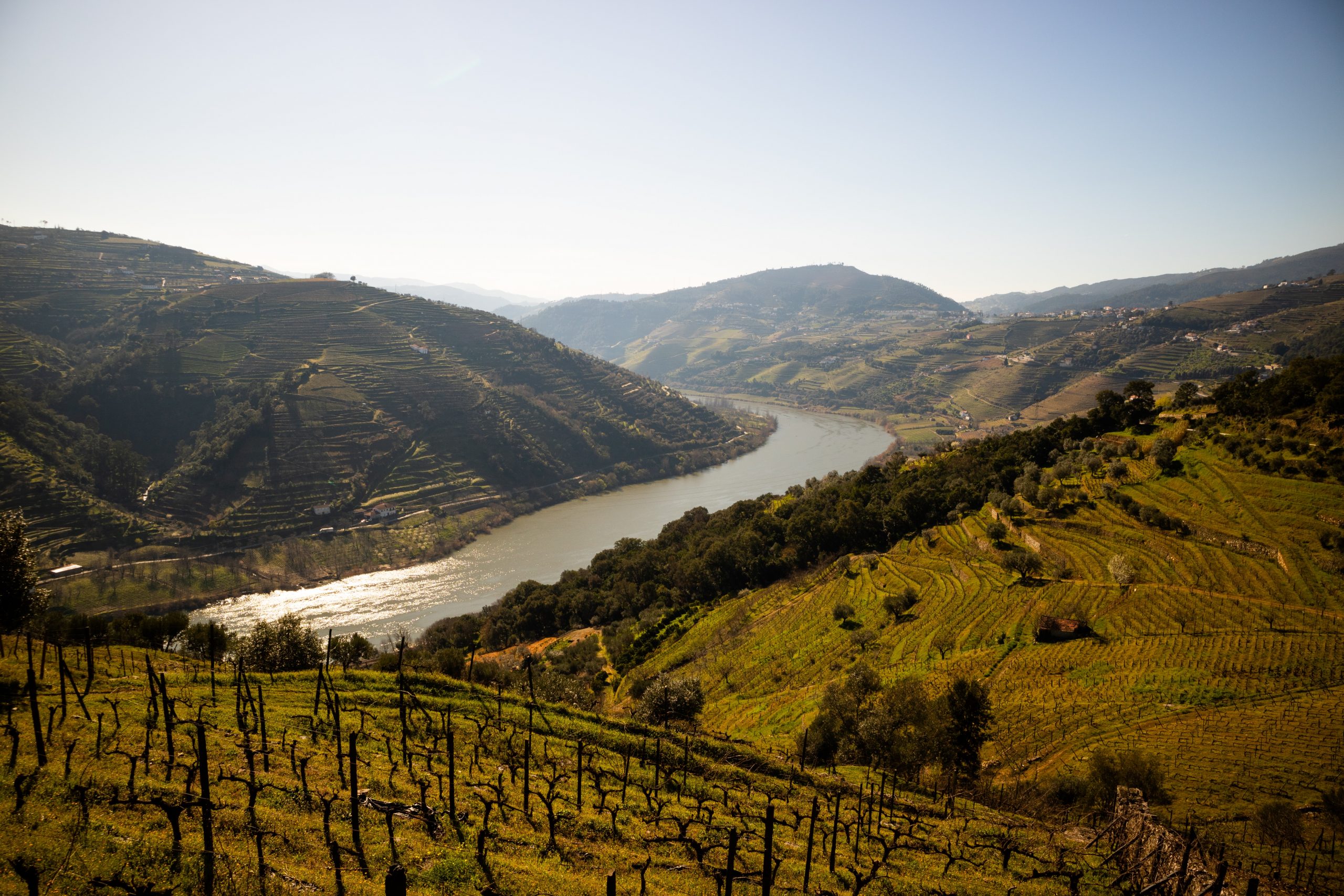 Douro for Design Lovers: Lh Luxury Travel City Guides | LHM