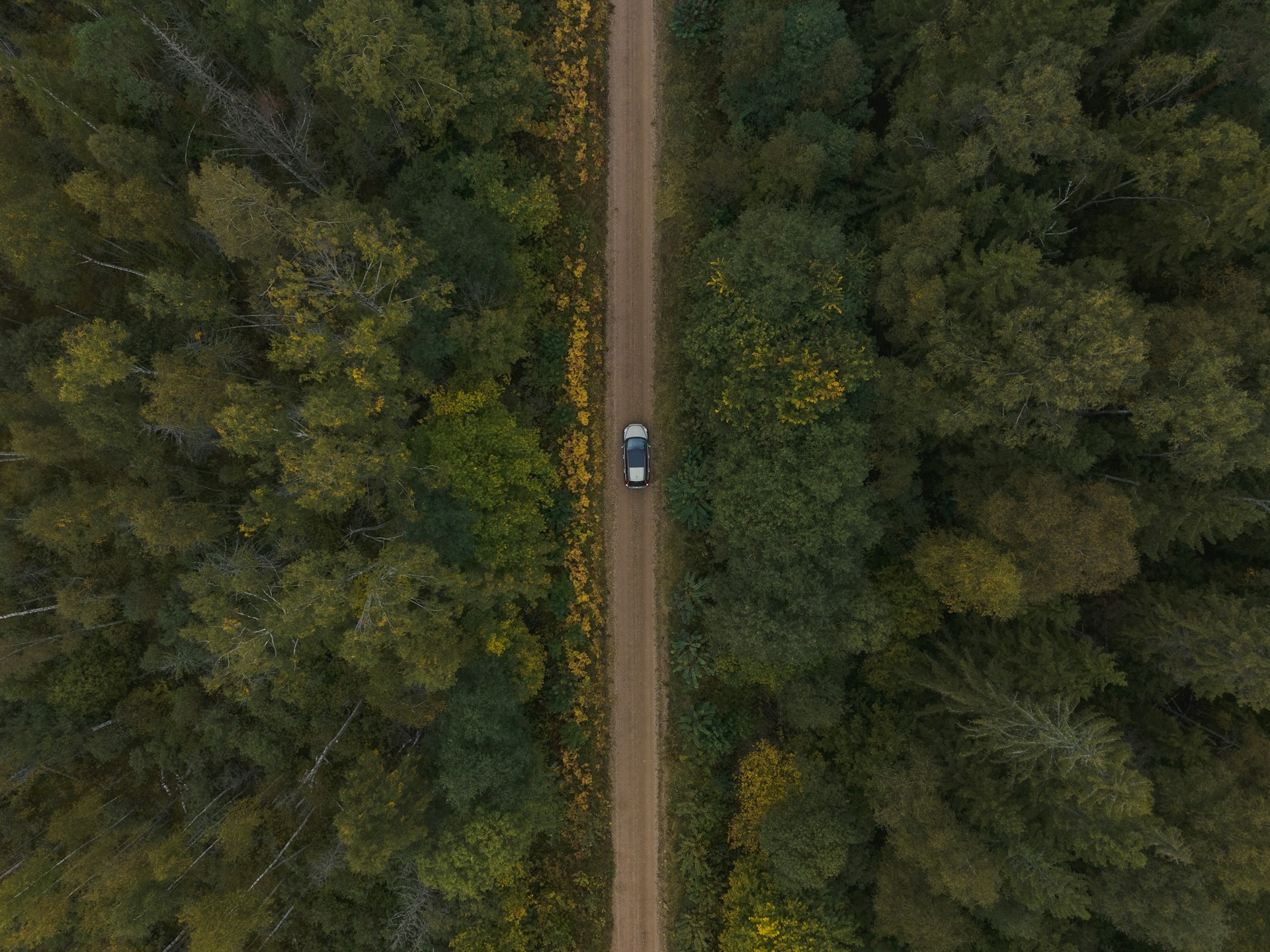 When Love Meets Luxury: The Most Romantic Cars for Couples’ Getaways ...