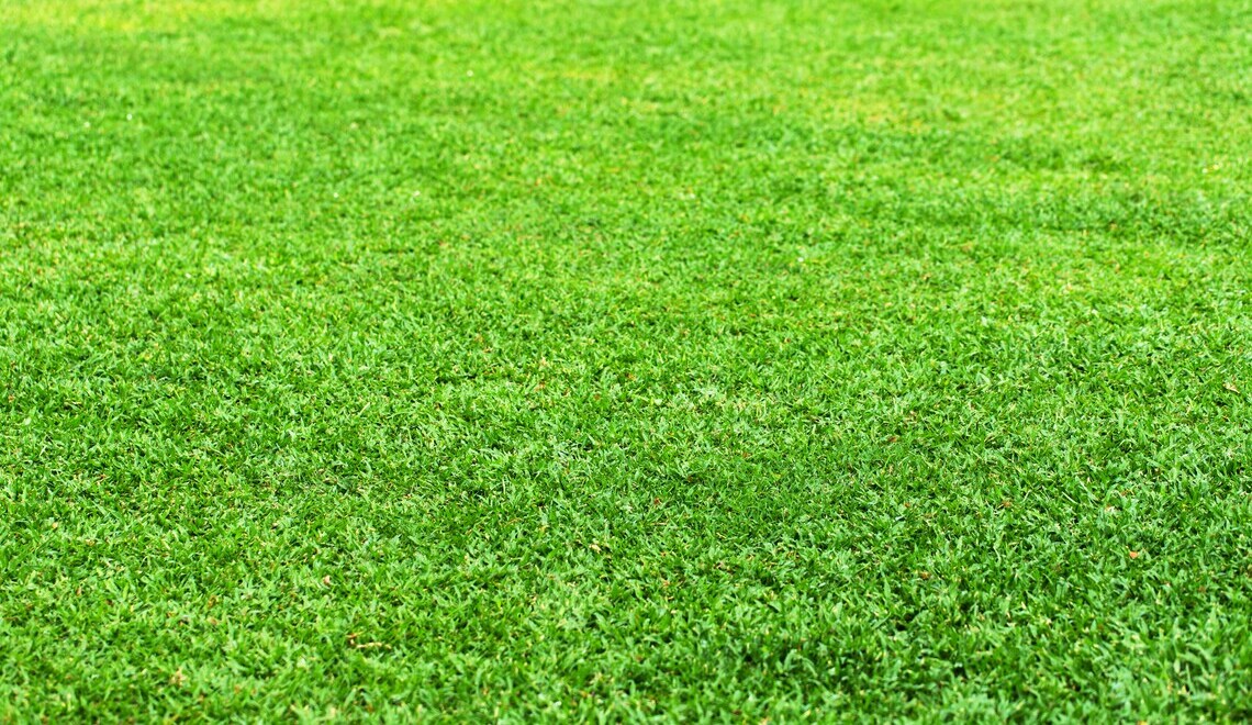 What Features Matter Most in a Lawn Mower? - Love Happens Mag